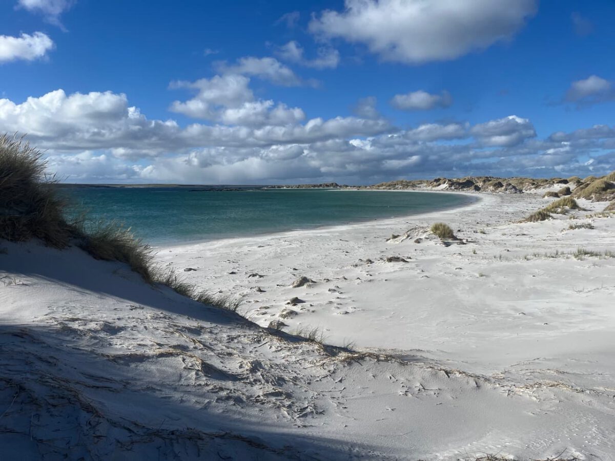 Falkland Islands' Coastline - Sailing SOUTH 2024