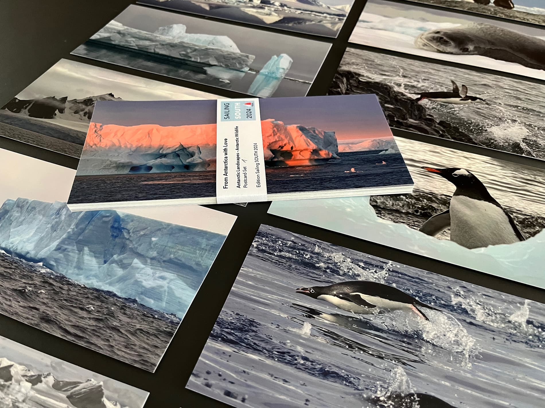Postcards - Sailing SOUTH 2024